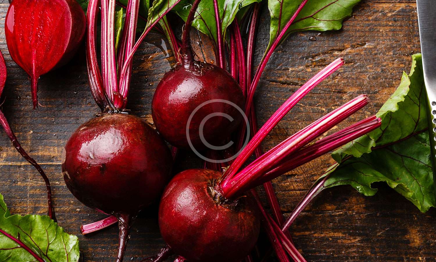Master Veg Classes - The Valdi Homestead